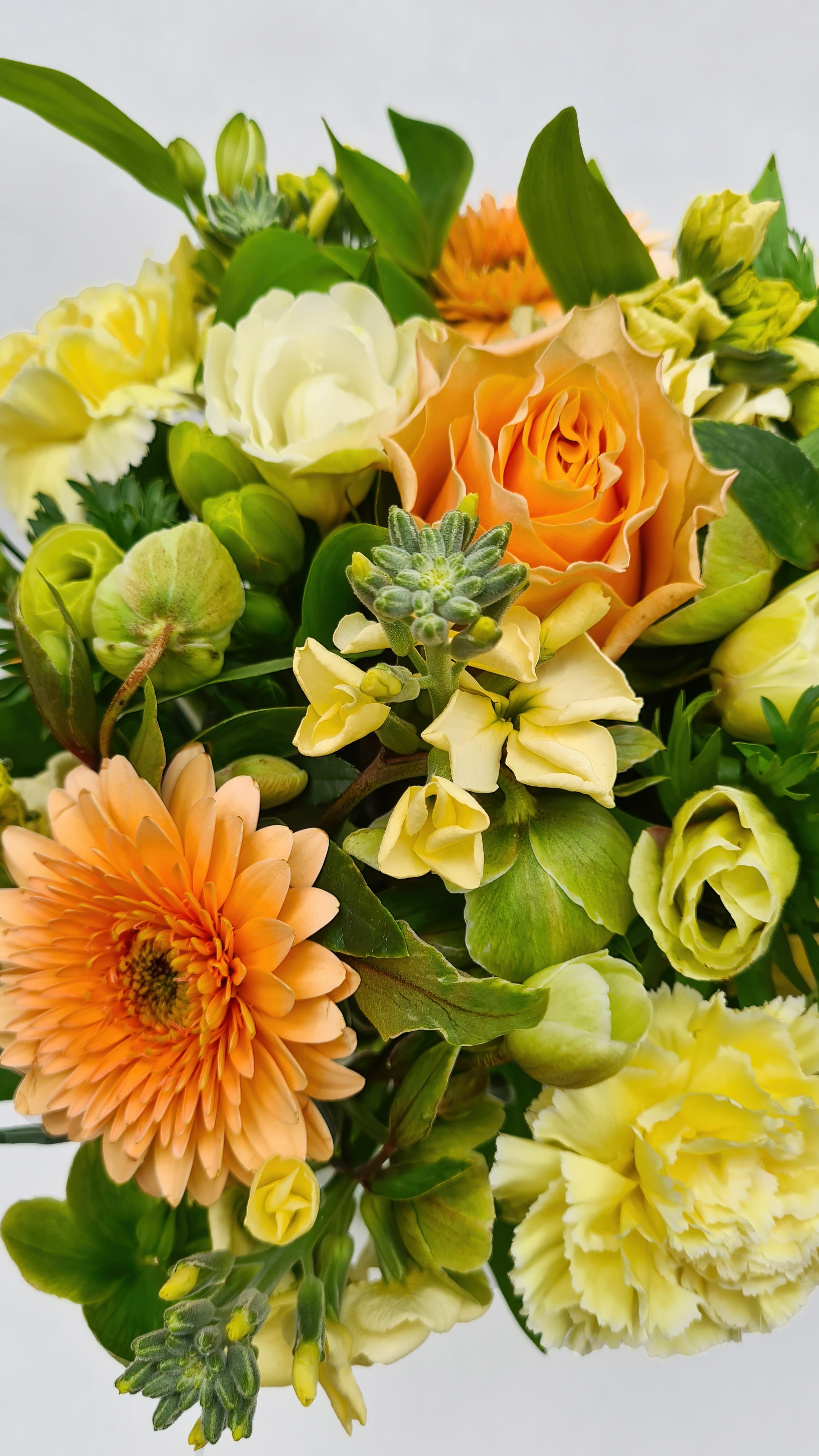 Spring Flowers - Deliver Flowers Today – Aromaunga Baxters Flowers